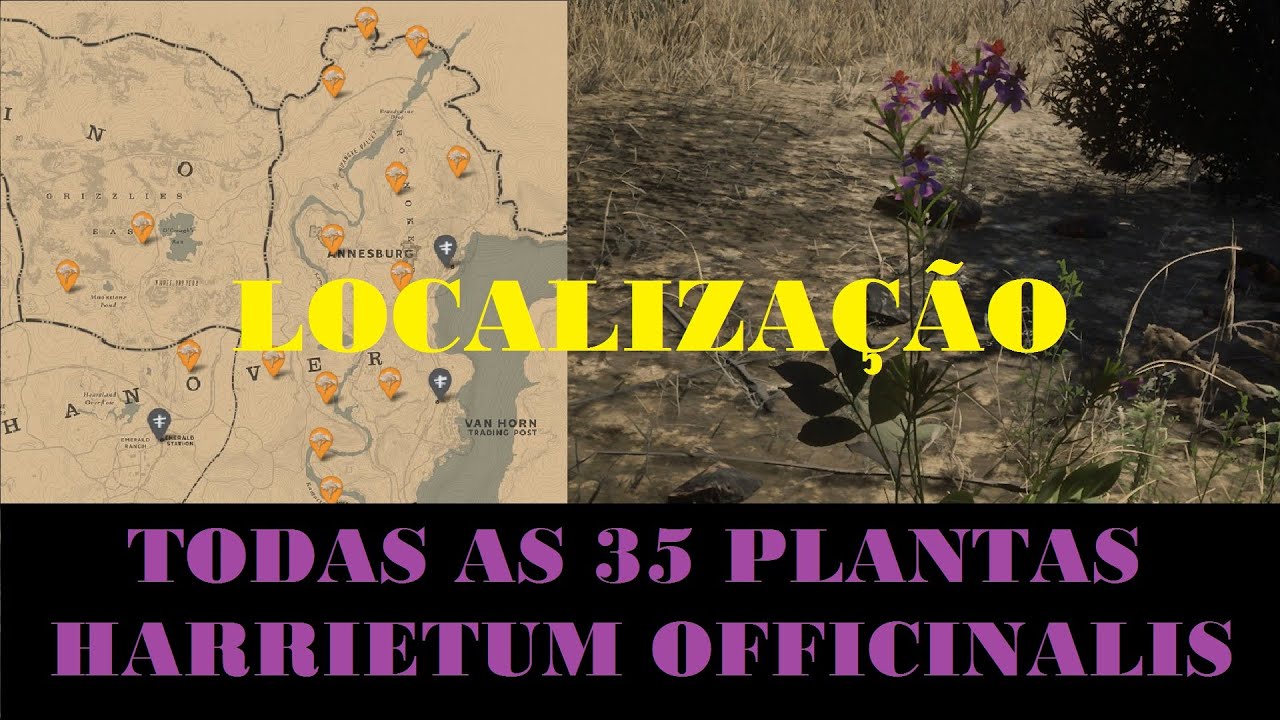 RED DEAD REDEMPTION 2 ONLINE - TODAS AS 35 LOCALIZAÇÕES DA PLANTA ...