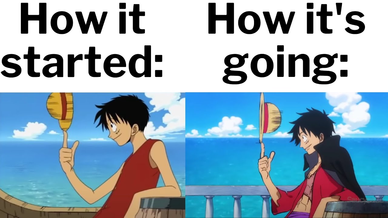Funny One Piece Memes