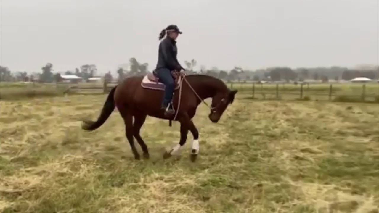 Kamari Caddie Ray - YouTube