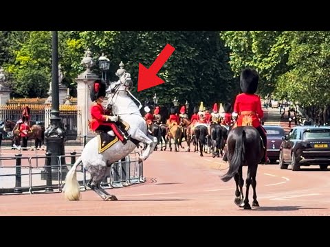 King's Horse Suddenly Reared Up... The Officers Horsemanship Professionalism Stunned the Crowd