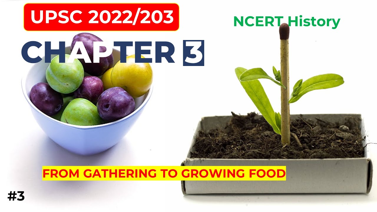 NCERT history class 6, chapter 3 for UPSC - YouTube