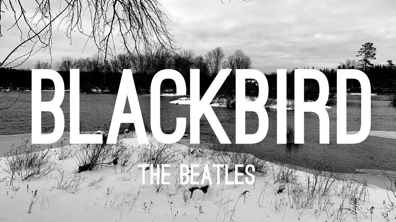 The Beatles - Blackbird Cover - YouTube