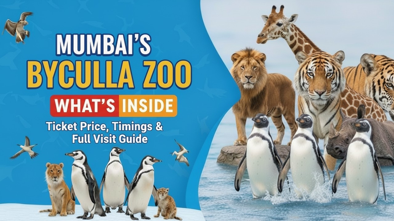 Byculla Zoo A to Z |😱Penguin🐧in Zoo | Complete Guide to Byculla Zoo in ...
