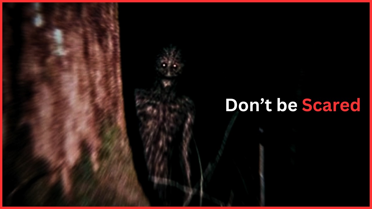 Top 20 Most Scary Disturbing Videos That Will Give You Chills | Scary ...