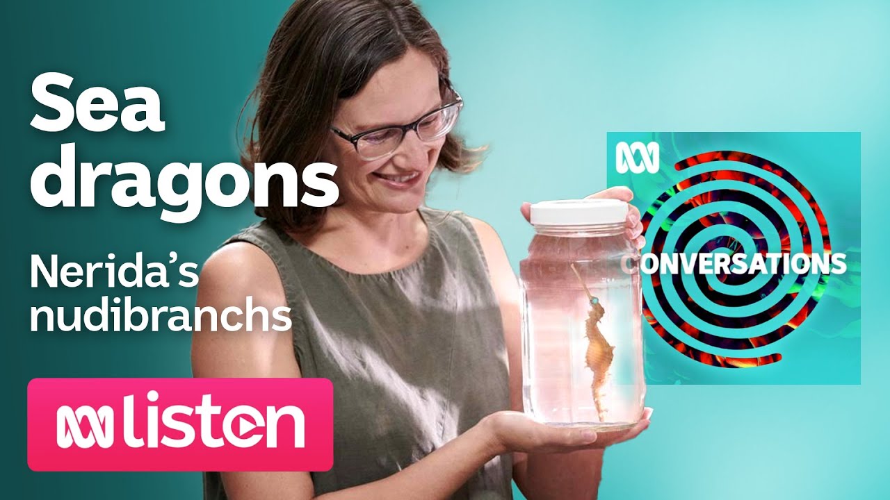 Dr Nerida Wilson: Nudibranchs, sea dragons and siphonophores | ABC ...