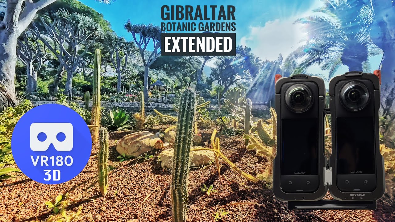 [8K][VR180][3D] Gibraltar - Botanic Gardens Extended (Meta Quest 3 optimised) - YouTube