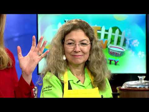 Judy Morgan Interview WKLA - YouTube