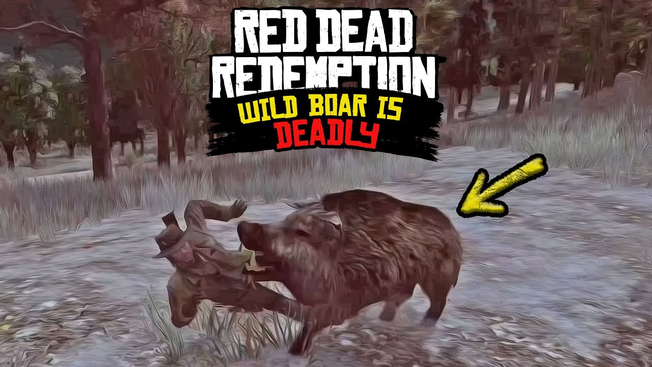 Wild Boar is DEADLY in Red Dead Redemption I - YouTube