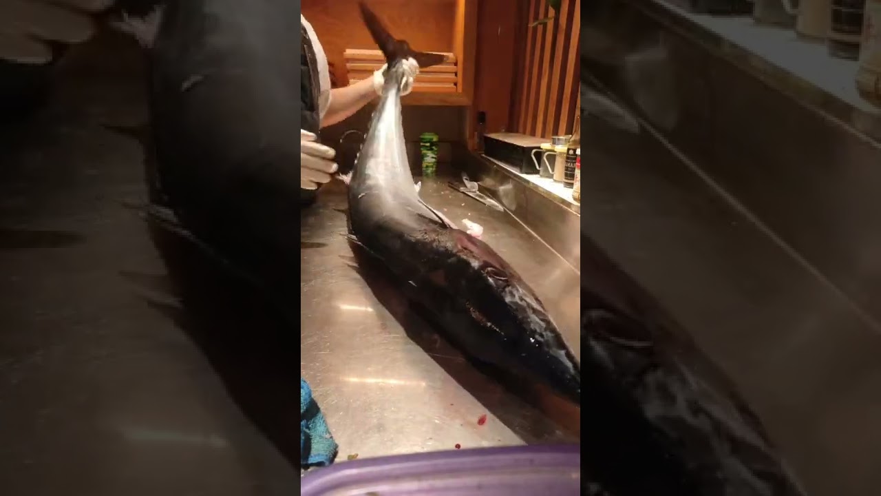 how to fillet king fish - YouTube