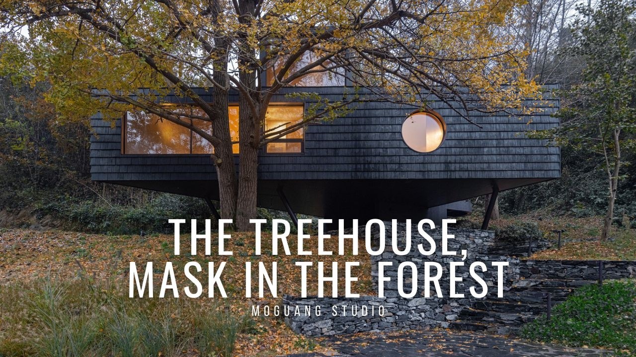90㎡ Treehouse Masterpiece Built Around Ancient Trees - YouTube