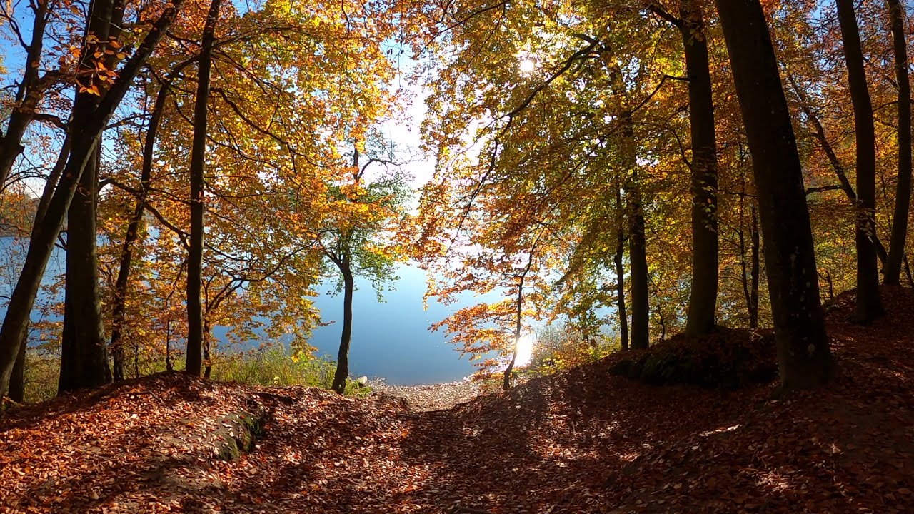 Autumn Freedom is in Nature Drone 4K Gdansk II Jesień Gdańsk Otomin ...