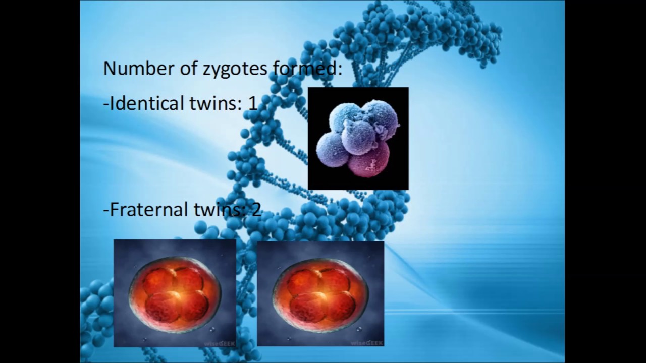 Science twins - YouTube