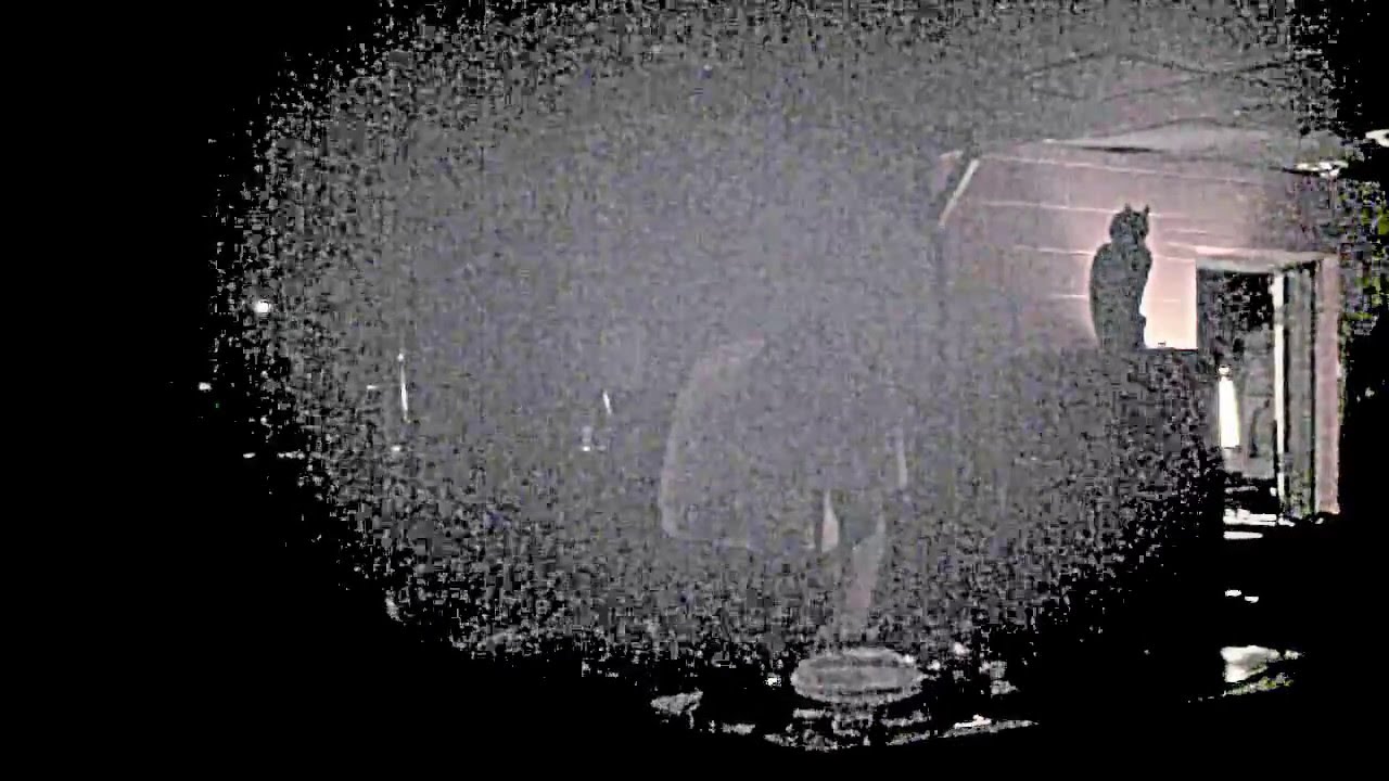 NJ9842 (08.26.15)[excerpt] - YouTube