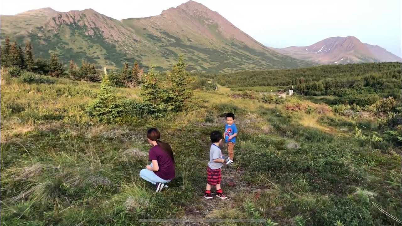 Flattop Mountain | Blueberries | Anchorage, Alaska - YouTube