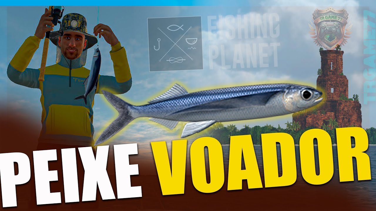 PEIXE VOADOR ( Spotfin Flyingfish ) - DICAS DE COMO PEGAR - FISHING ...