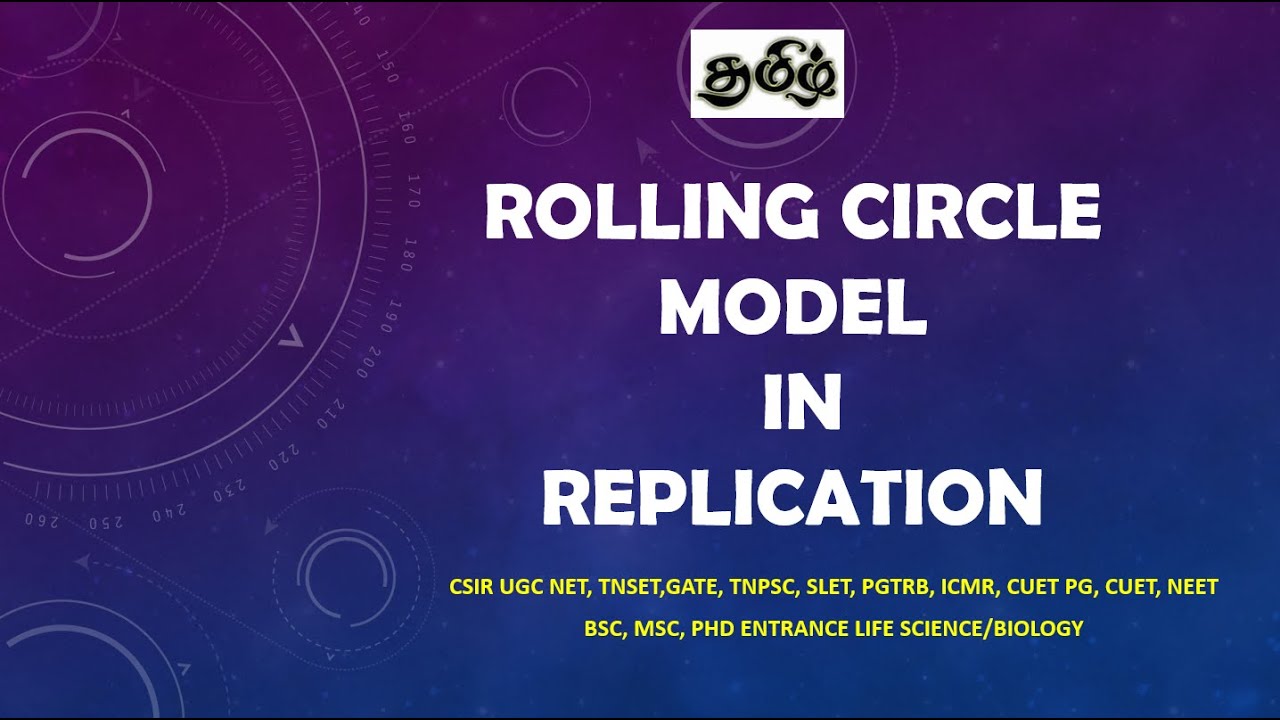 Rolling circle model of Replication. Tamil. #CSIR NET, #TNSET, #GATE ...