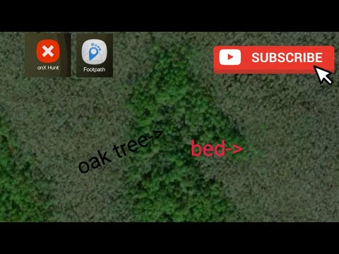 How To Map Scout Florida Whitetail