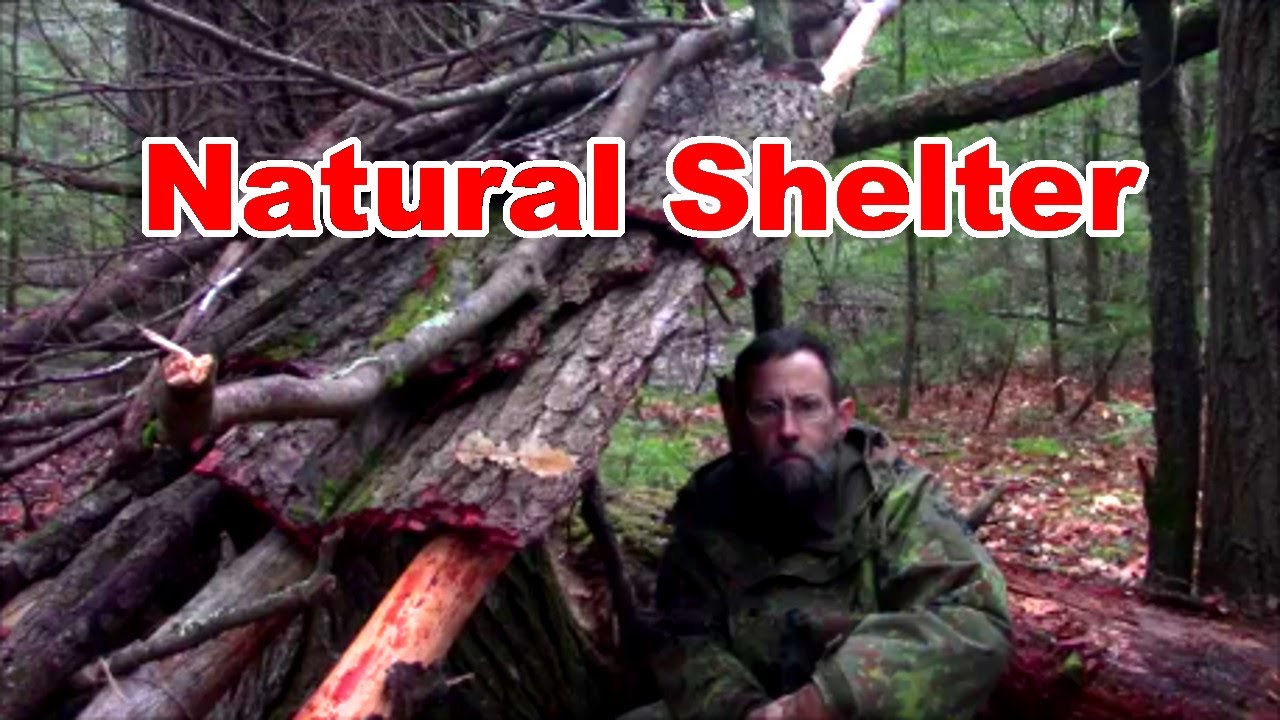 Pine Bark Shelter in Rain & Snow - Bushcraft / Survival - YouTube
