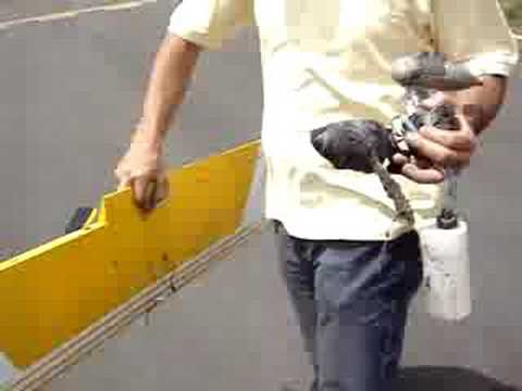 ADIOS AVION PIOLIN - YouTube
