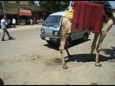 EGYPT: the Ancient & the Hood - YouTube