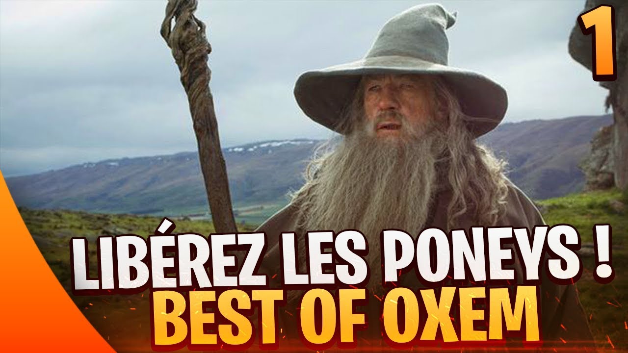 BEST OF OXEM #1 Libérez les Poneys ! - YouTube