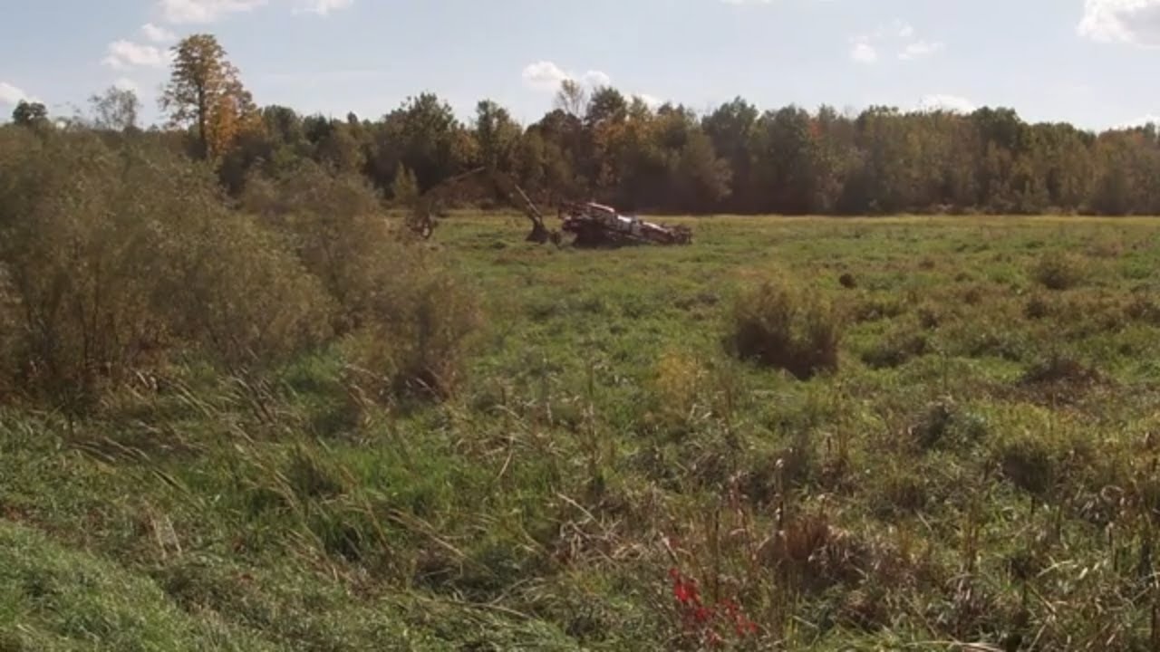 When Taking a Shortcut Goes HORRIBLY WRONG! - YouTube