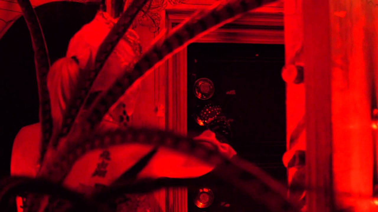 Scarlett James Burlesque Bird fun - YouTube