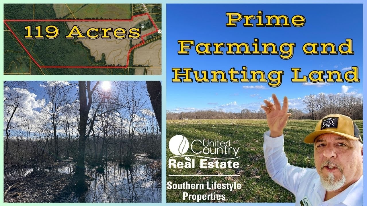 Prime Farming and Hunting Land in West Tennessee! - YouTube