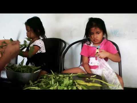 Anak lucu,bantu ibunya mau masak oseng-oseng kangkung