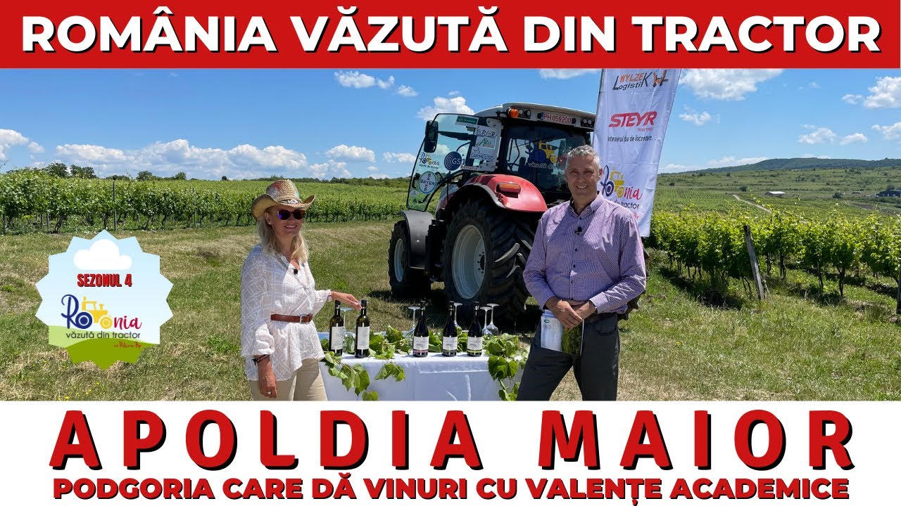 Apoldia Maior, podgoria care dă vinuri cu valențe academice / România ...
