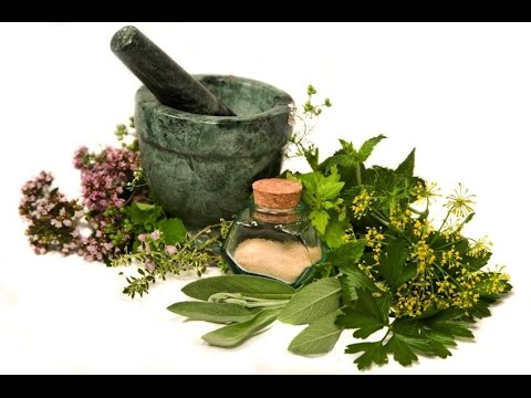 D&D Ep 6. Getting some Herbs - YouTube