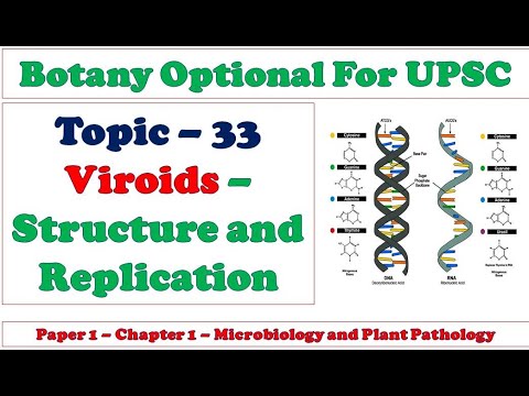 Viroids: Structure & Replication: Viroids V/S Viruses: Microbiology ...