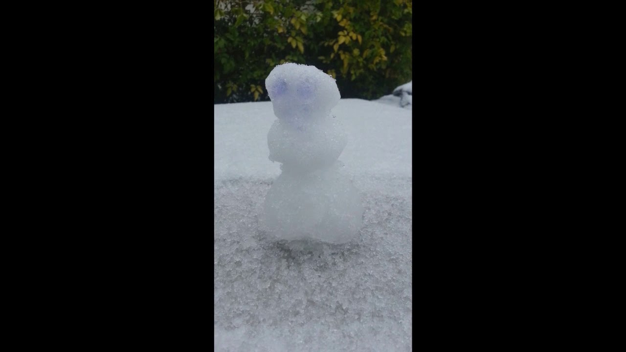 WORLDS SMALLEST SNOWMAN! his name is lil jeezy! merry christmas - YouTube