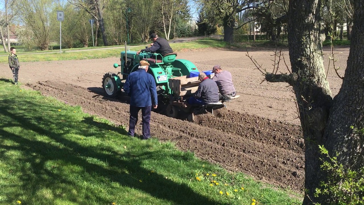 setting potatoes - YouTube