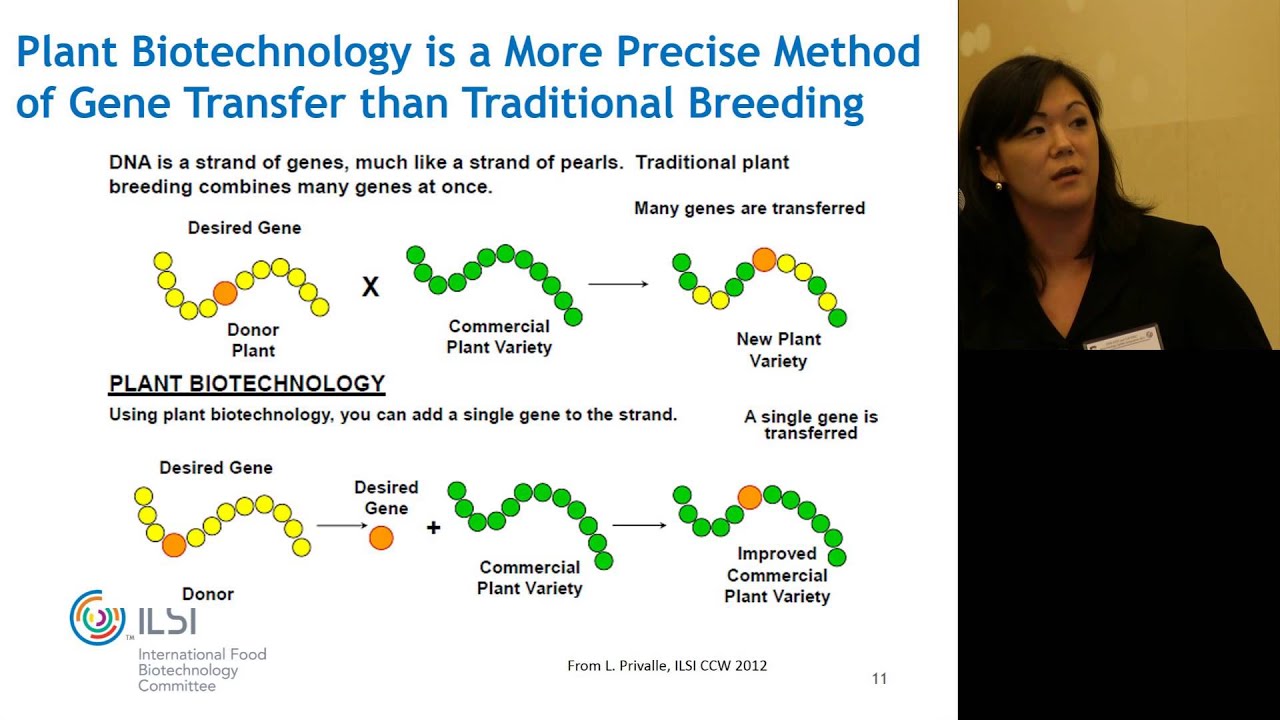 HESI PATC & IFBiC Biotechnology 2013 [Speaker: Angela Hendrickson ...