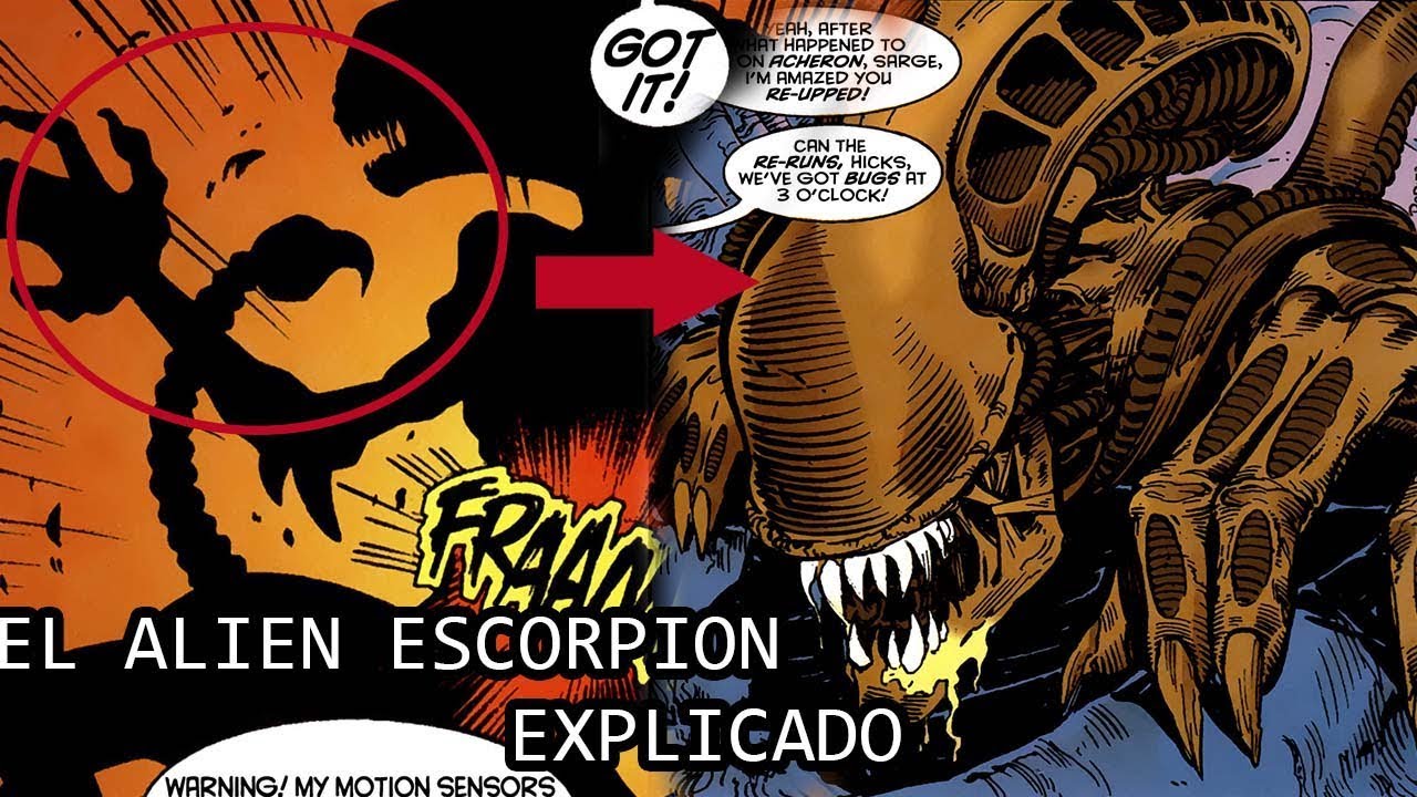 El Alien Escorpion o Xenomorfo Escorpion EXPLICADO - YouTube