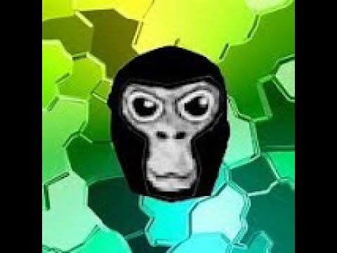 CoolMonkey Community Direct | 09.02.24 - YouTube
