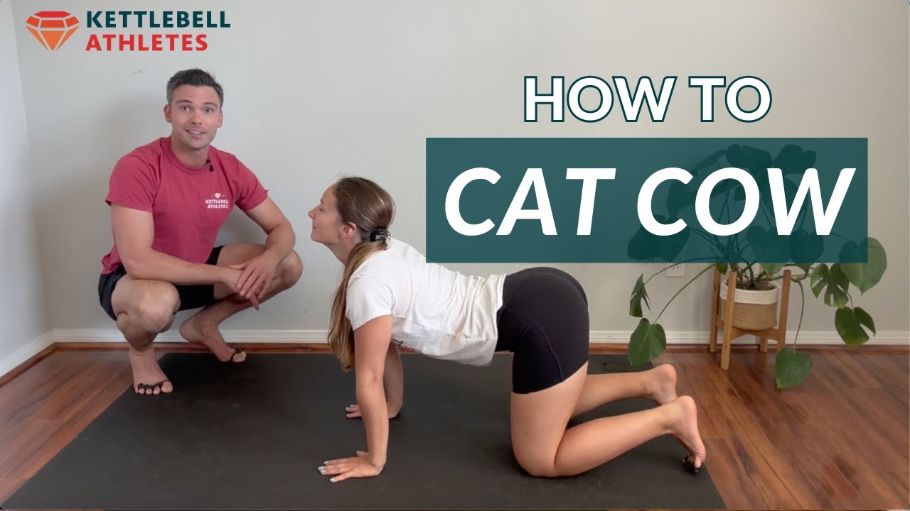 How to Cat Cow | Spinal Mobility | Kettlebell Athletes - YouTube