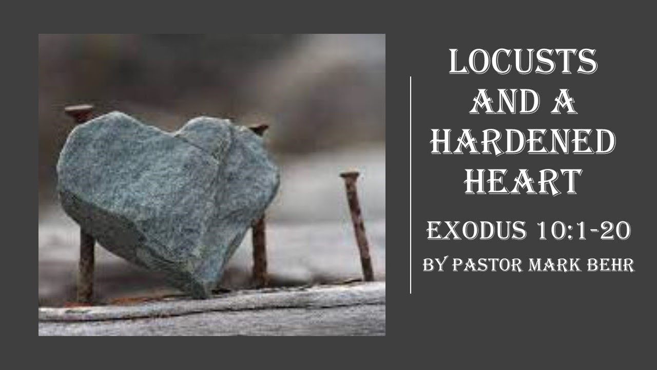 "Gods at War: Locusts and a Hardened Heart" by Pastor Mark Behr 2 - YouTube