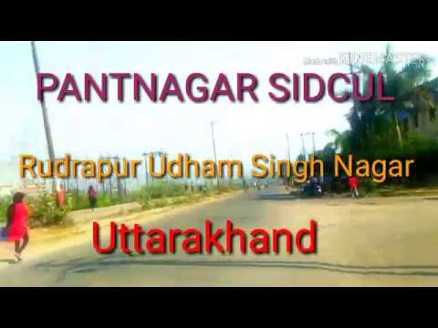 PANTNAGAR SIDCUL Rudrapur Udham Singh Nagar Uttarakhand - YouTube