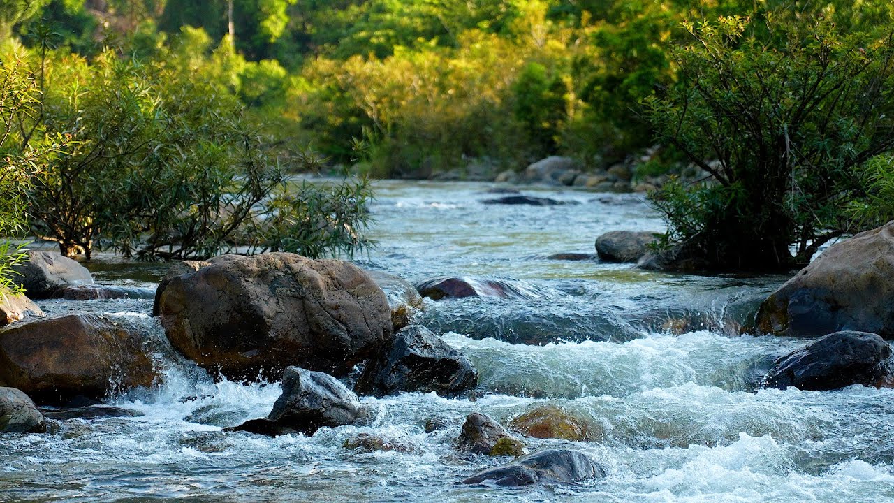Enjoy the soothing energy with the sound of the stream from the forest ...