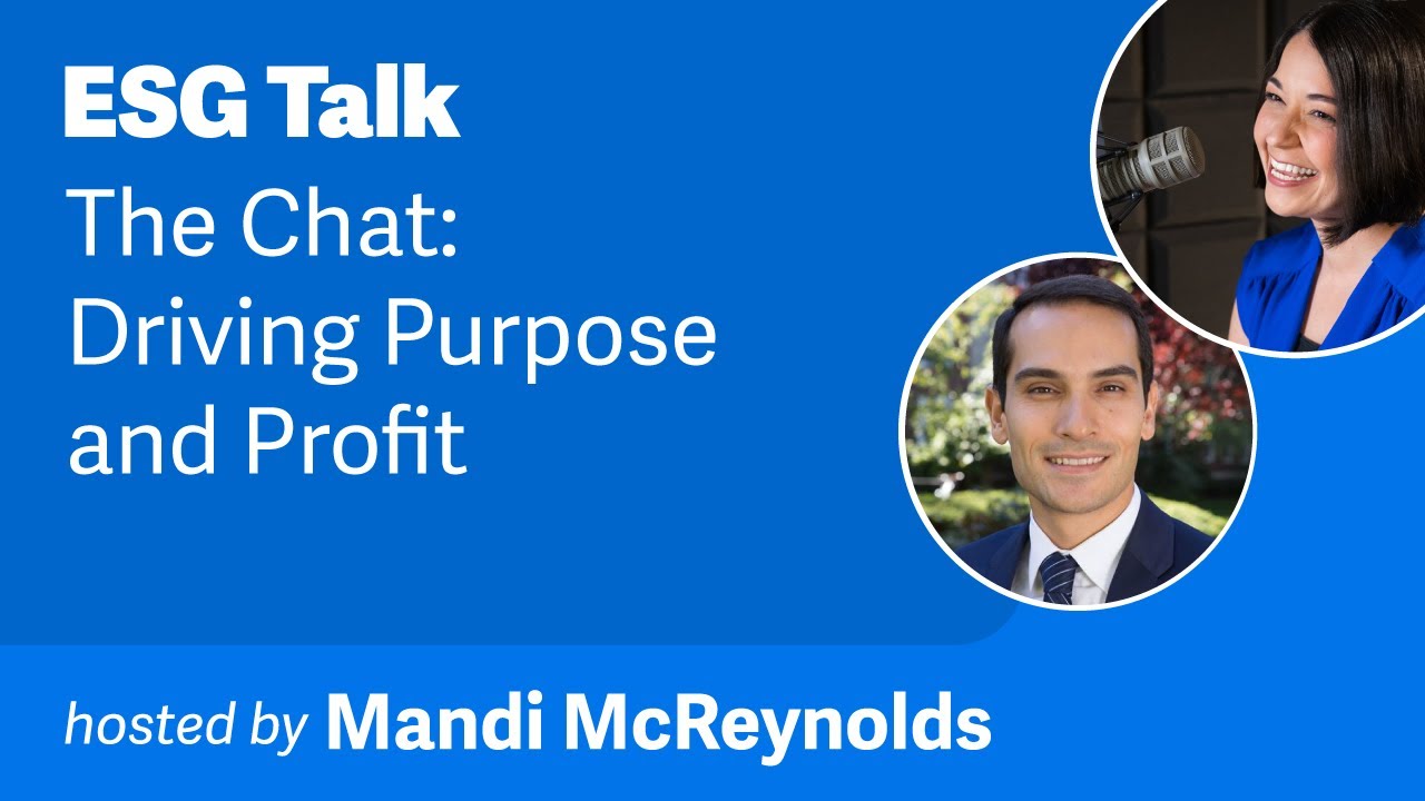 The Chat: Driving Purpose and Profit ft. George Serafeim - YouTube
