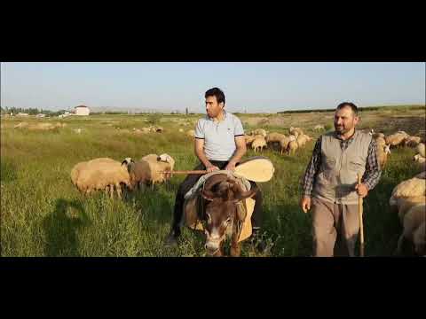 #AfşinliHAKAN #Aglatma #Gelem #Söz Ve #Müzik Aşık Ali Nurşani