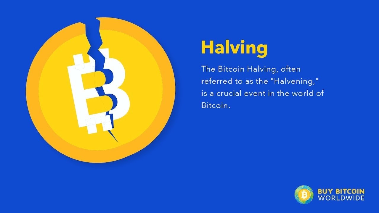 Bitcoin Halving Explained in 1 Minute - YouTube