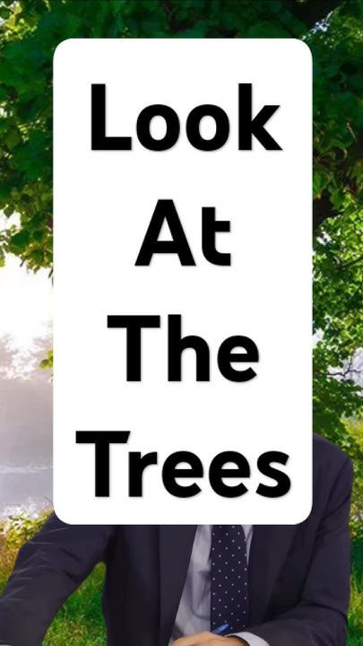Look at the Trees to See God - YouTube