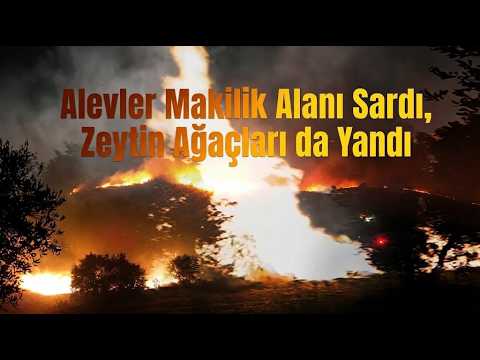 Manisa'da Geceyi Aydınlatan Alevler 400 Dönümü Küle Çevirdi