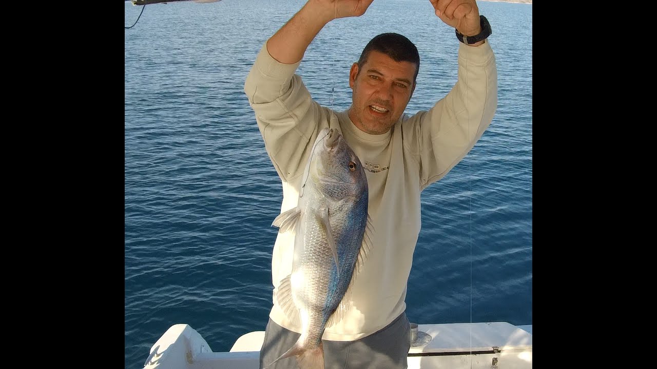 ΣΥΝΑΓΡΙΔΑ ΚΑΙ ΣΤΗΡΑ ΜΕ ΚΑΛΑΜΑΡΙ ΖΩΝΤΑΝΟ - YouTube