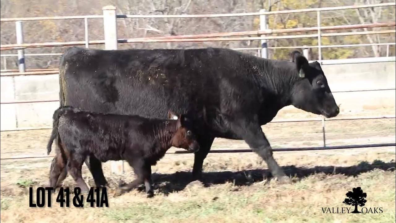 Valley Oaks 41 & 41A - YouTube