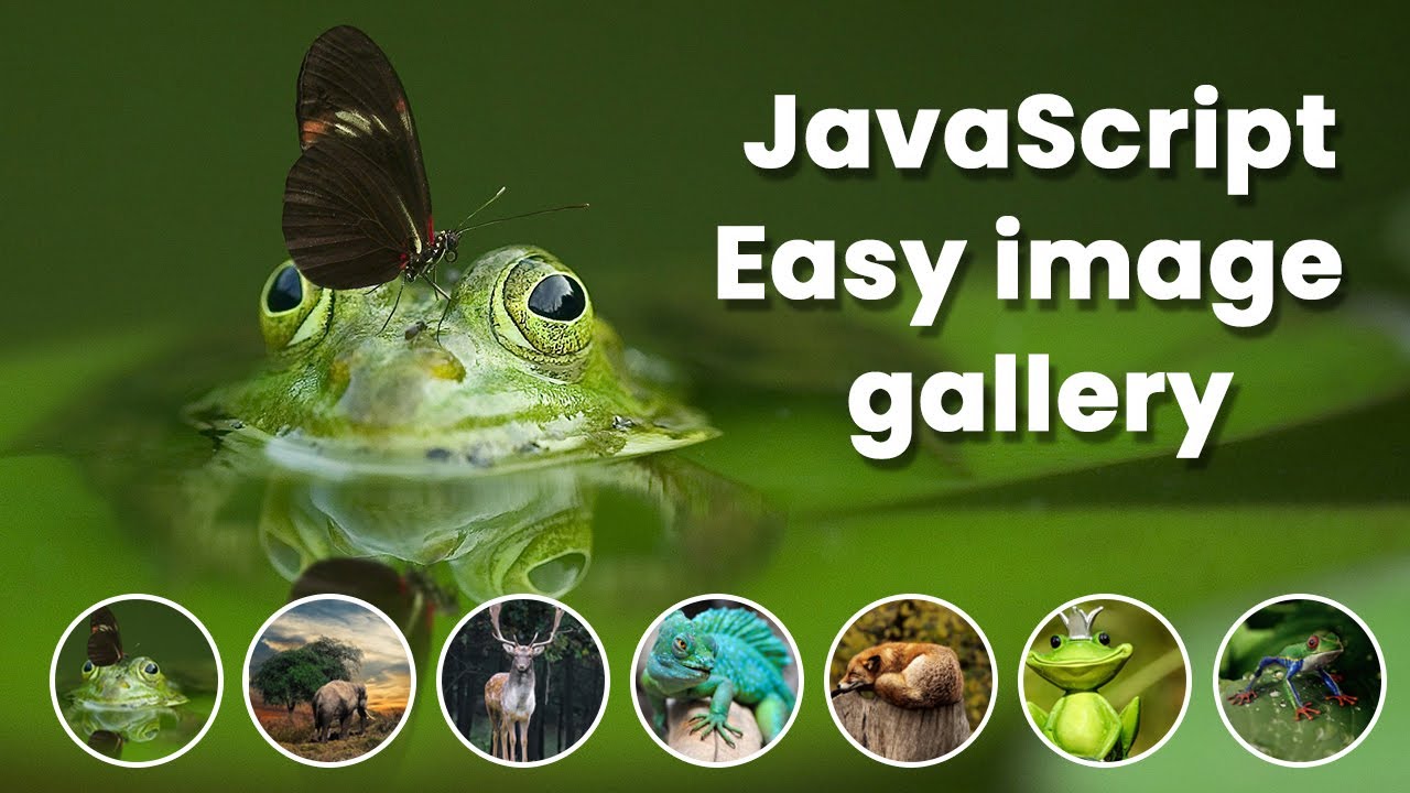 How To Create Image Gallery In Javascript , HTML and CSS with thumbnail ...