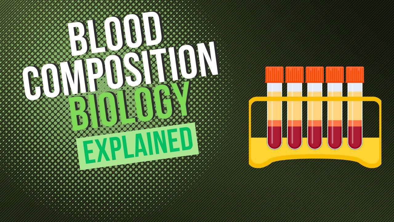 Components of Blood Explained - YouTube